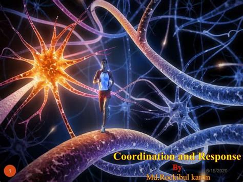 Control And Coordinationpptx