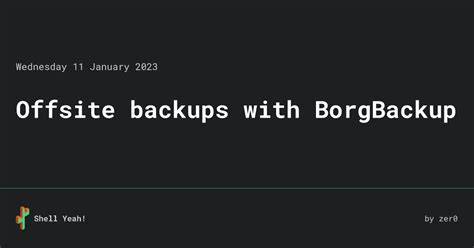 offsite backups with borgbackup shell yeah
