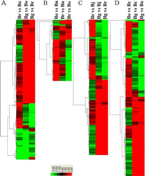 Hierarchical Cluster Analysis Of Differentially Expressed Transcripts Download Scientific