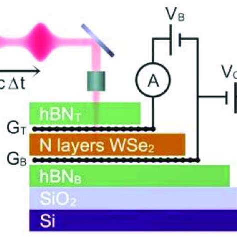 Hbn Graphene Wse 2 Hbn Based Integrated Heterostructures For Ultrafast Download Scientific