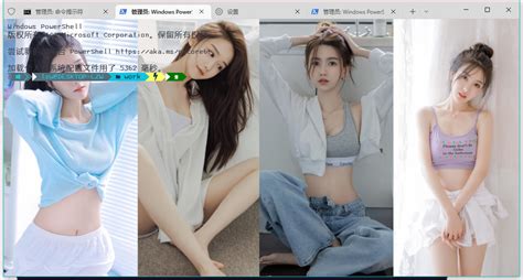Windows Terminal 更新后 Oh My Posh 报错的问题分析与解决－电脑基础－志文工作室