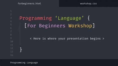 Programming Language Workshop For Beginners