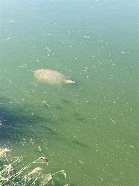 Enso Geospatial On Linkedin Bathymetry Ecology Hydrology