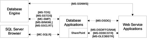 Ms Ssso Network Connectivity And Application Development Microsoft Learn