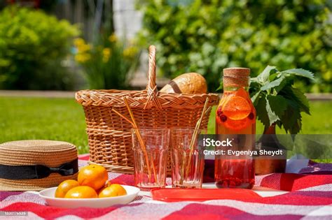 풀밭에서 피크닉 붉은 격자 무늬 담요 고리버들 바구니 오렌지와 열매로 만든 천연 음료 덩어리 여름에는 야외에서 맛있는 스낵 소풍 음식에 대한 스톡 사진 및 기타 이미지