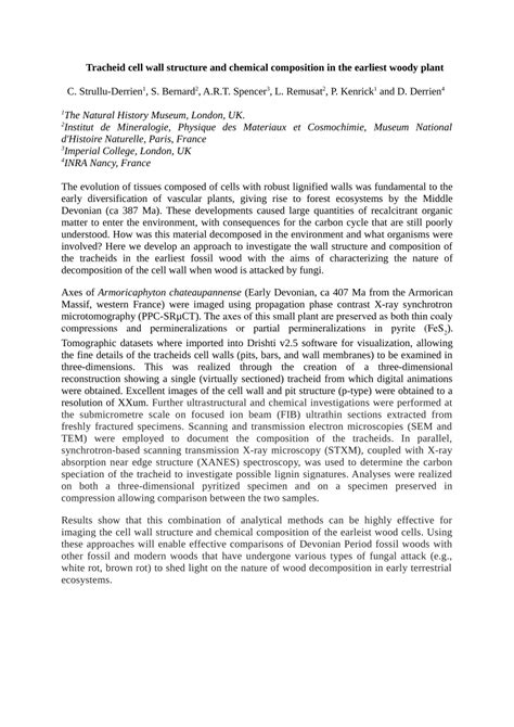 Pdf Tracheid Cell Wall Structure And Chemical Composition In The Earliest Woody Plant