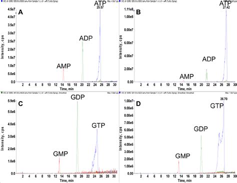 LC MS Analysis Of Nucleotides HEK Cells Treated With Deoxyglucose Download Scientific