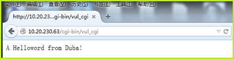 检测cgi Bin漏洞存在方法 Csdn博客