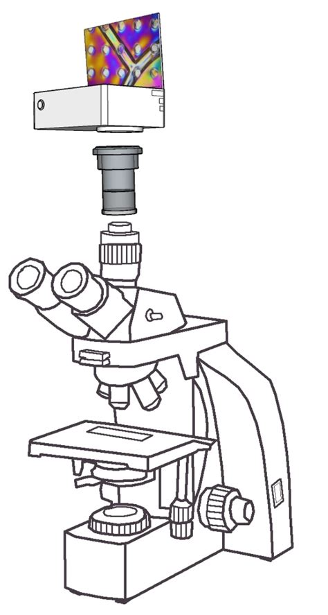 Upgrade Your Amscope T800 Laboratory Microscope With State Of The Art Camera Technology Using