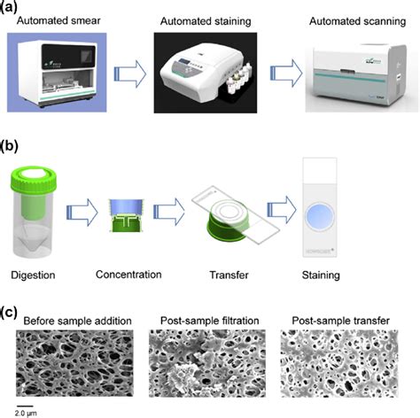 Design Of Tb Easm A Tb Easm System Consisting Of Three Automated