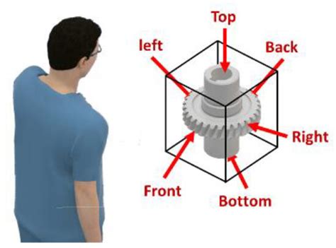 Object Bounding Box Labeling Regarding The Manikin Initial Position