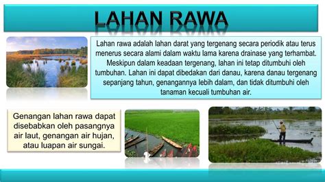 [new Upload] Kelompok 1 Tugas Pelestarian Sumber Daya Lahan Rawa Pptx
