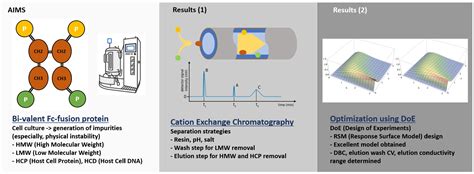 Optimization For Simultaneous Removal Of Productprocess Related Impurities Of Peptide Fc Fusion