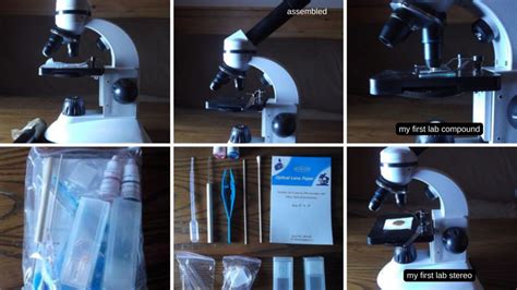 Making Microscope Slides Yourself Microscope Detective