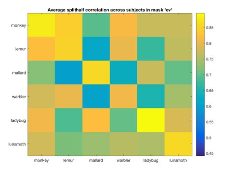 Roi Based Mvpa With Group Analysis