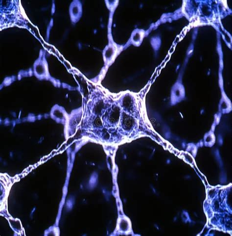 Neural Network Visualization Stock Illustration Illustration Of Medical Brain 387922383