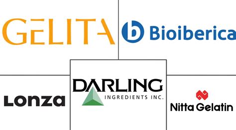천연 콜라겐 시장 규모 점유율 및 2030년 성장 추세 보고서 천연 콜라겐 시장 규모 점유율 및 2030년 성장 추세 보고서