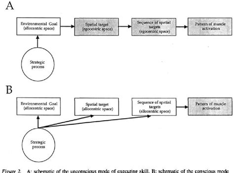 Figure 2 From A Neuropsychological Theory Of Motor Skill Learning Semantic Scholar