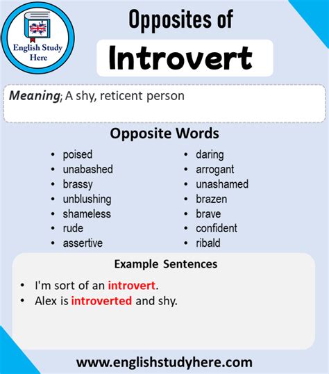 Introspectively Synonyms