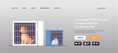 Chien Et Lapin Assis Dans Des Cages Animaux Expérimentaux Recherche En Génie Génétique