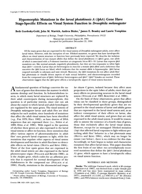Pdf Hypomorphic Mutations In The Larval Photokinesis A Lpha Gene
