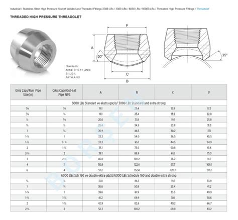 Threadolet Catalogue Pdf