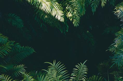 How To Create A Microservice To Send Email With Celery Python Flask