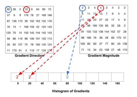 图像学习之如何理解方向梯度直方图（histogram Of Gradient）基于像素梯度的图像学习 Csdn博客
