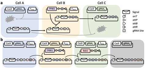 file message routing schematic png murray wiki