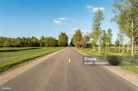 아스팔트 지역 도로는 길가 근처의 나무가 있는 녹색 들판을 통과합니다 화창한 여름날의 육로 여행 운전하기에 대한 스톡 사진 및