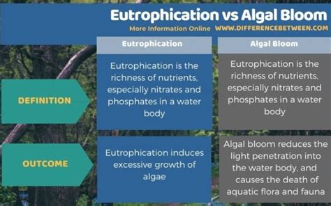 Algal Blooms Eutrophication