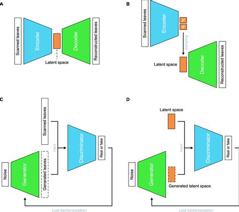 Architectures Of The Ae And Three Deep Generative Models A The Ae Download Scientific