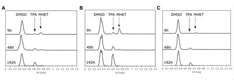 Figure 3 From Comparison Of The Enzymatic Depolymerization Of