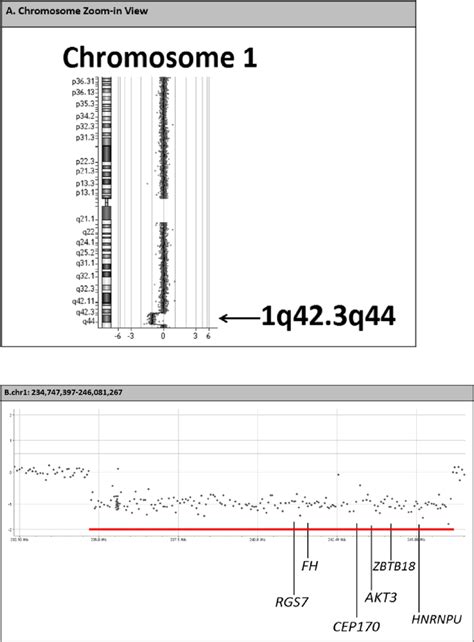 a and b array comparative genomic hybridization analysis on the dna