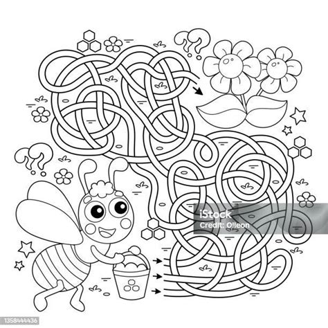 미로 또는 미로 게임 수수께끼 얽힌 도로 색칠 페이지 꿀양동이와 만화 작은 꿀벌의 개요 아이들을위한 색칠 공부책 0명에 대한 스톡 벡터 아트 및 기타 이미지 Istock