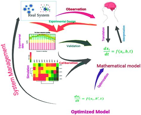 A Schematic Representation Of A Mathematical Model Including