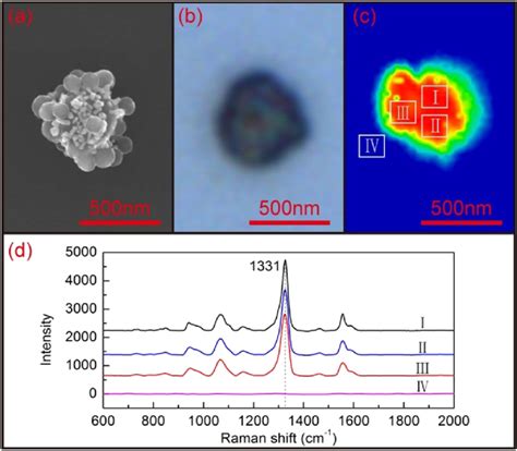 Single Cell Detection Of S Aureus By Sers Mapping Method The Download Scientific Diagram