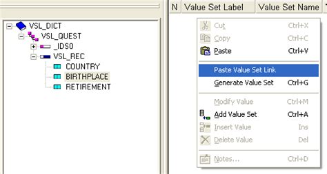 linked value sets cspro user s guide