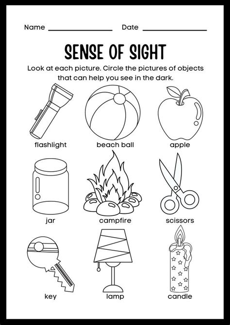 Science Kindergarten Worksheets Educational Worksheet Packs