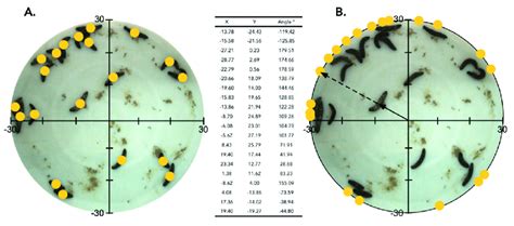 Raw Data Collection From Circular Tank Aggregation Experiments A