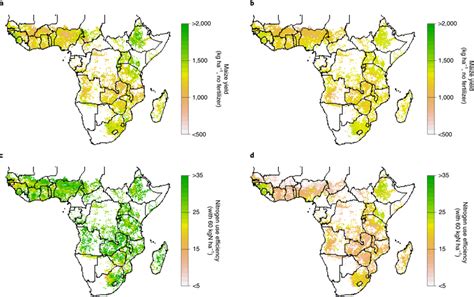 Estimated Maize Yield And Nitrogen Use Efficiency In Ssa Ab Maize Download Scientific Diagram