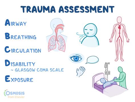 Abcde Trauma Assessment Mnemonic Osmosis