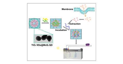 Visible Light Driven Self Powered Device Based On A Straddling Nano