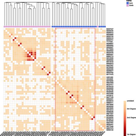 Upgma Clustering Tree Inferred From The Heatmap Of The Samples Download Scientific Diagram