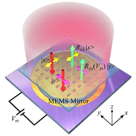 Metasurfaces Mems Scienceadvances Fei Ding
