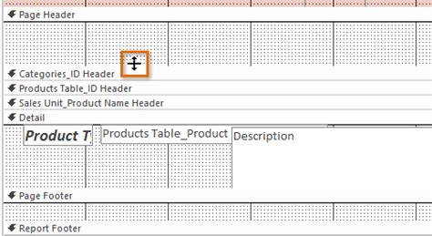 modify report in ms access 2013 computer hindi notes