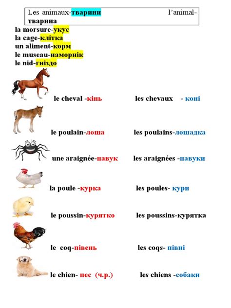 тварини птахи комахи риби французька мова Pdf