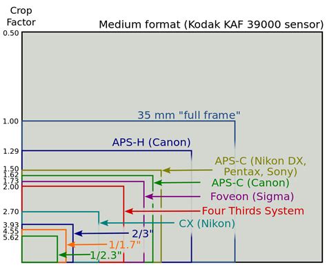 What Is Crop Factor Here Is What You Need To Know