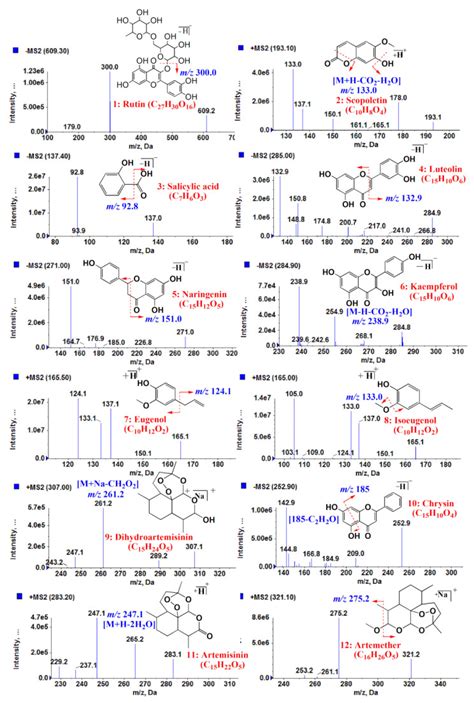 Extraction Isolation And Characterization Of Bioactive Compounds From Artemisia And Their