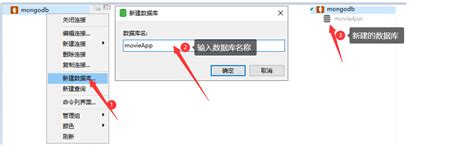 day15 mongodb数据库操作 navicat创建mongo 集合 csdn博客